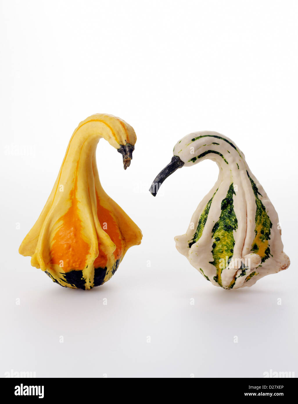 Two Gourds on White Background Stock Photo - Alamy