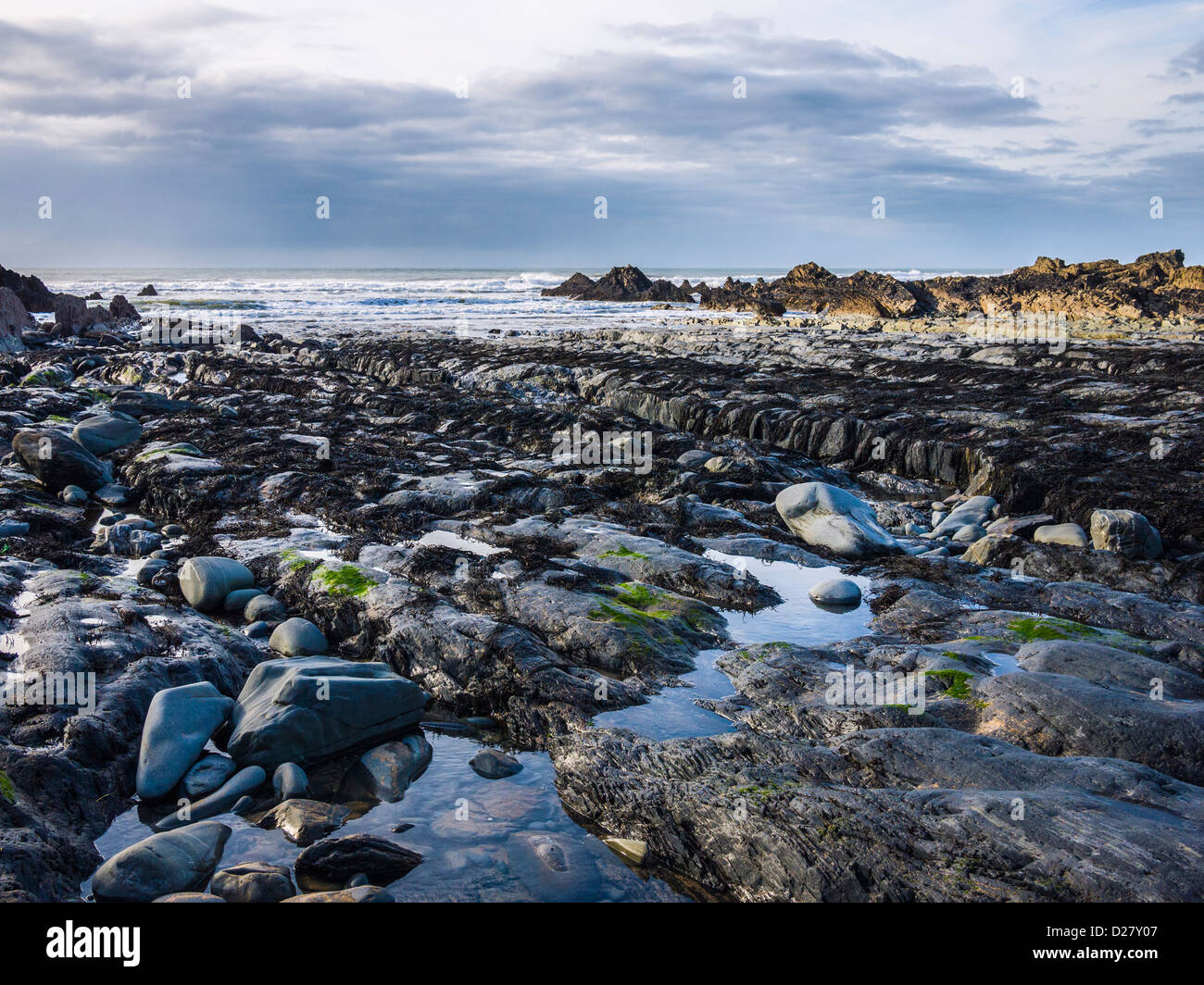 Shoreline tidal pools hi-res stock photography and images - Alamy