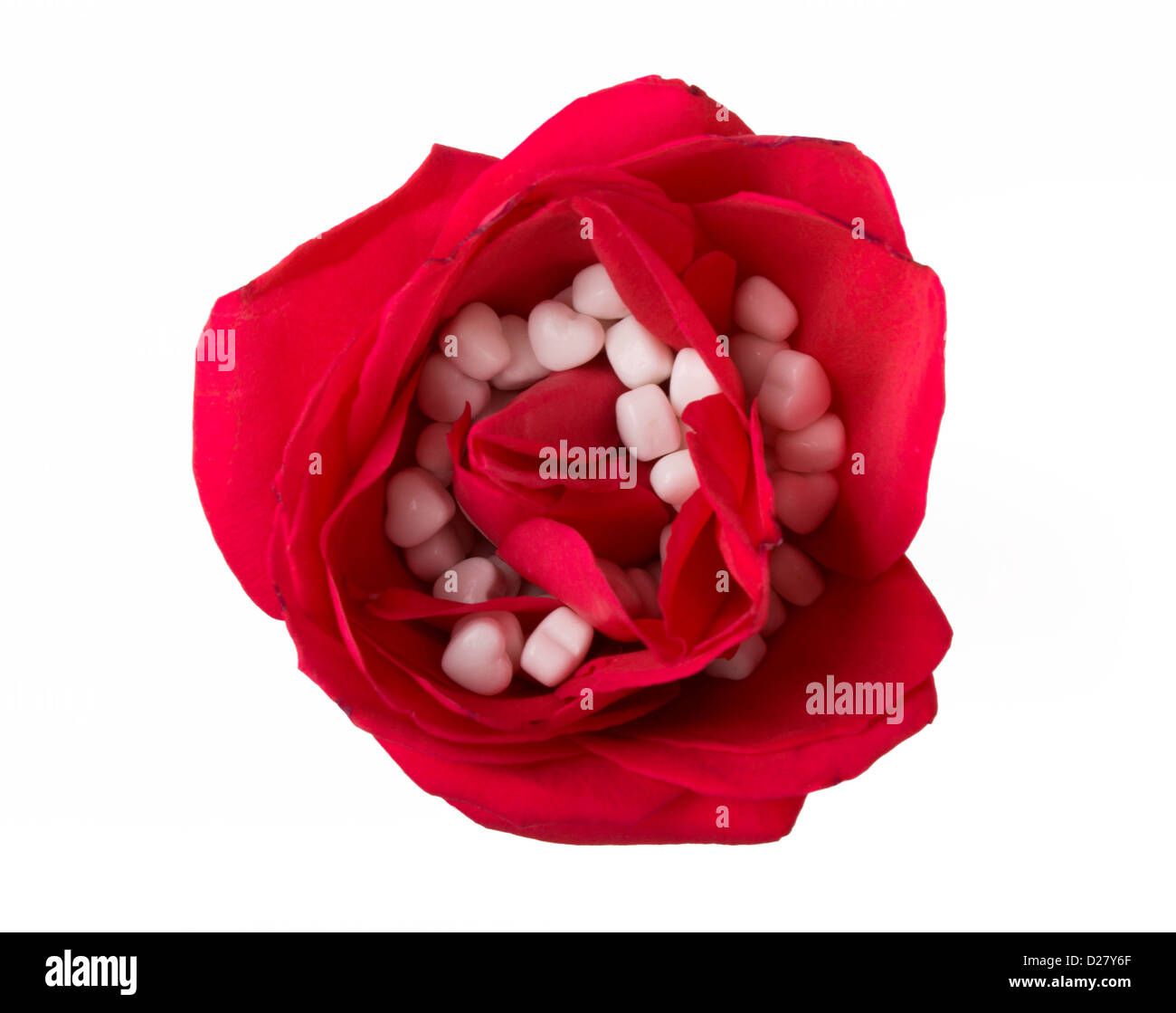 Rose with candy hearts inside Stock Photo - Alamy
