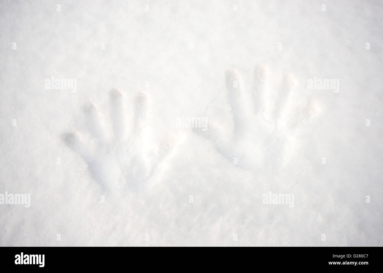 hand prints in white Stock Photo - Alamy