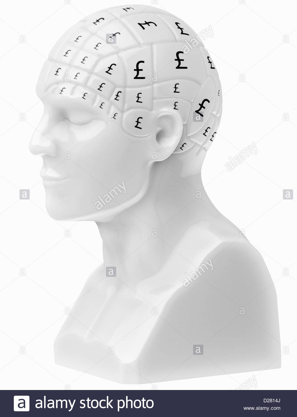 Phrenology Head Illustration Stock Photos & Phrenology Head ...