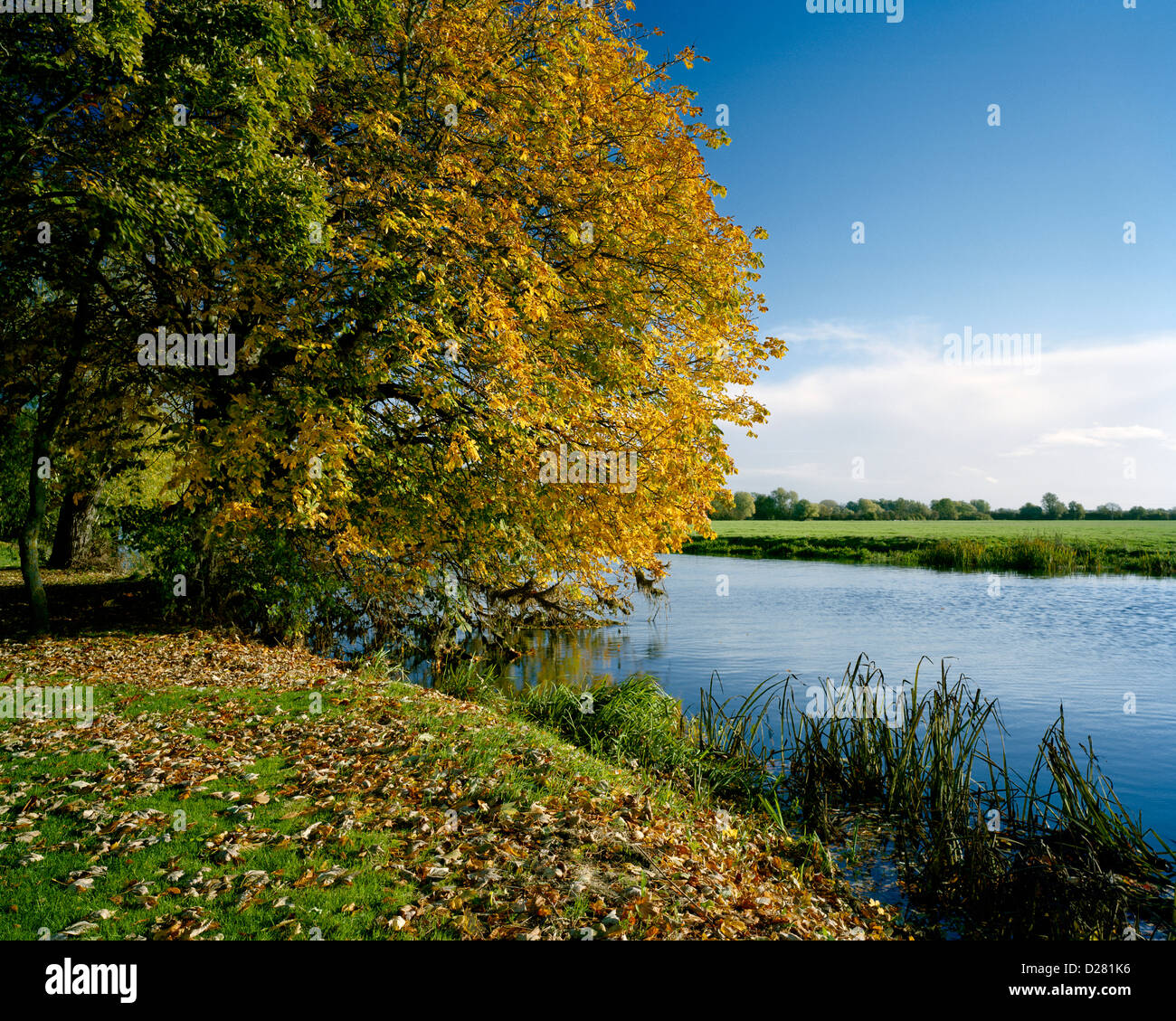 Huntingdon river hi-res stock photography and images - Alamy