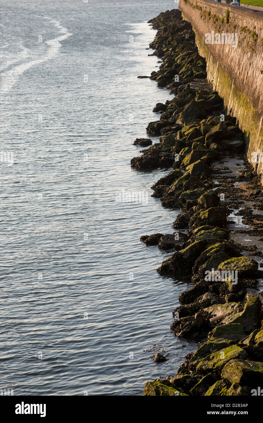 Lateral stones hi-res stock photography and images - Alamy
