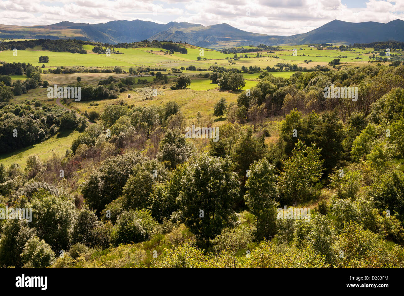 Densely forested landscape hi-res stock photography and images - Alamy