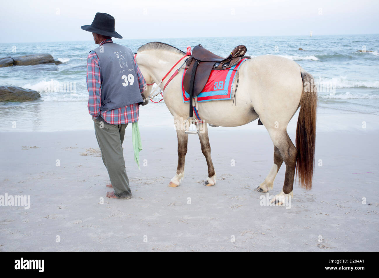 Horse and Rider walking along beach at Hua Hin Stock Photo - Alamy
