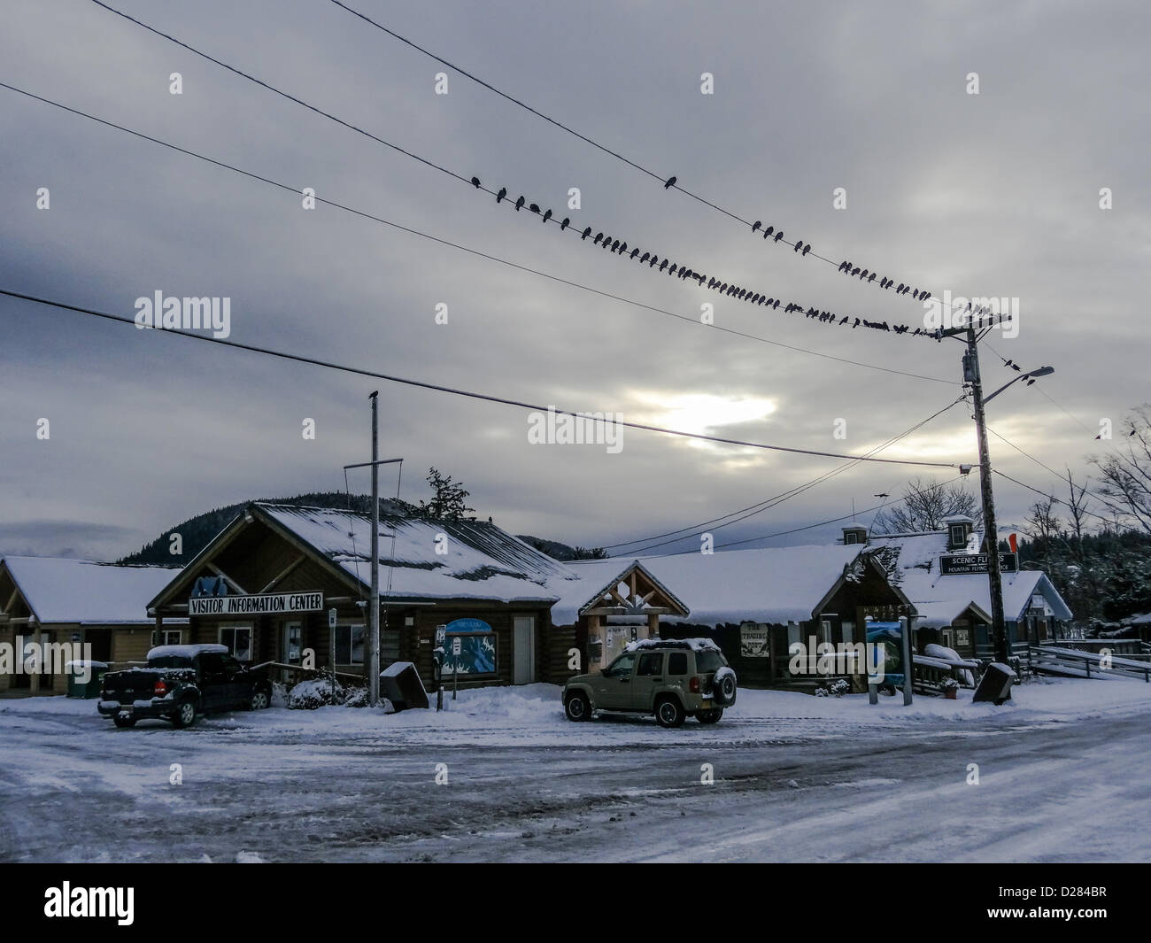 doves on wire Stock Photo - Alamy