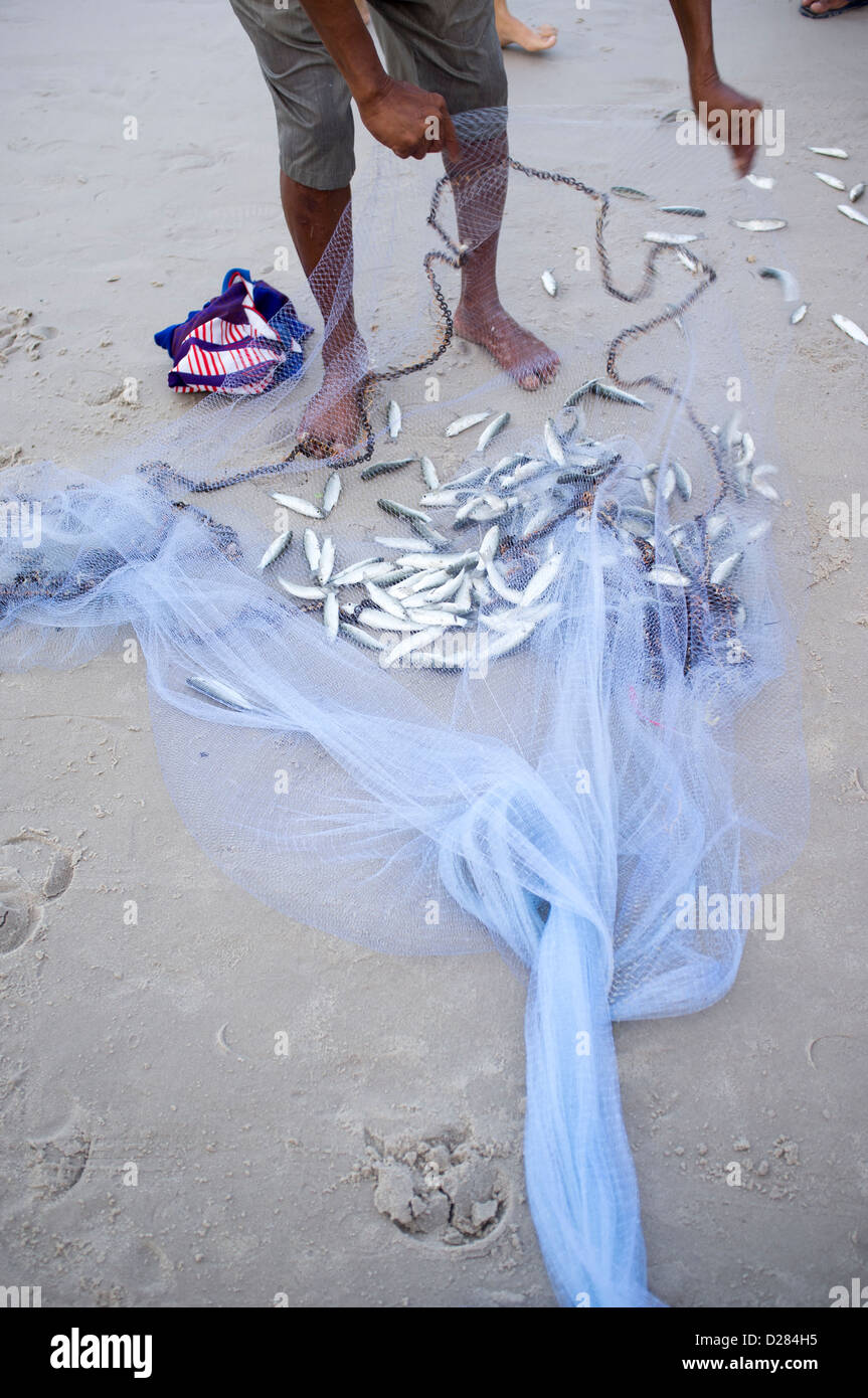 Fisherman with net and catch on beach at Hua Hin Thailand Stock Photo ...