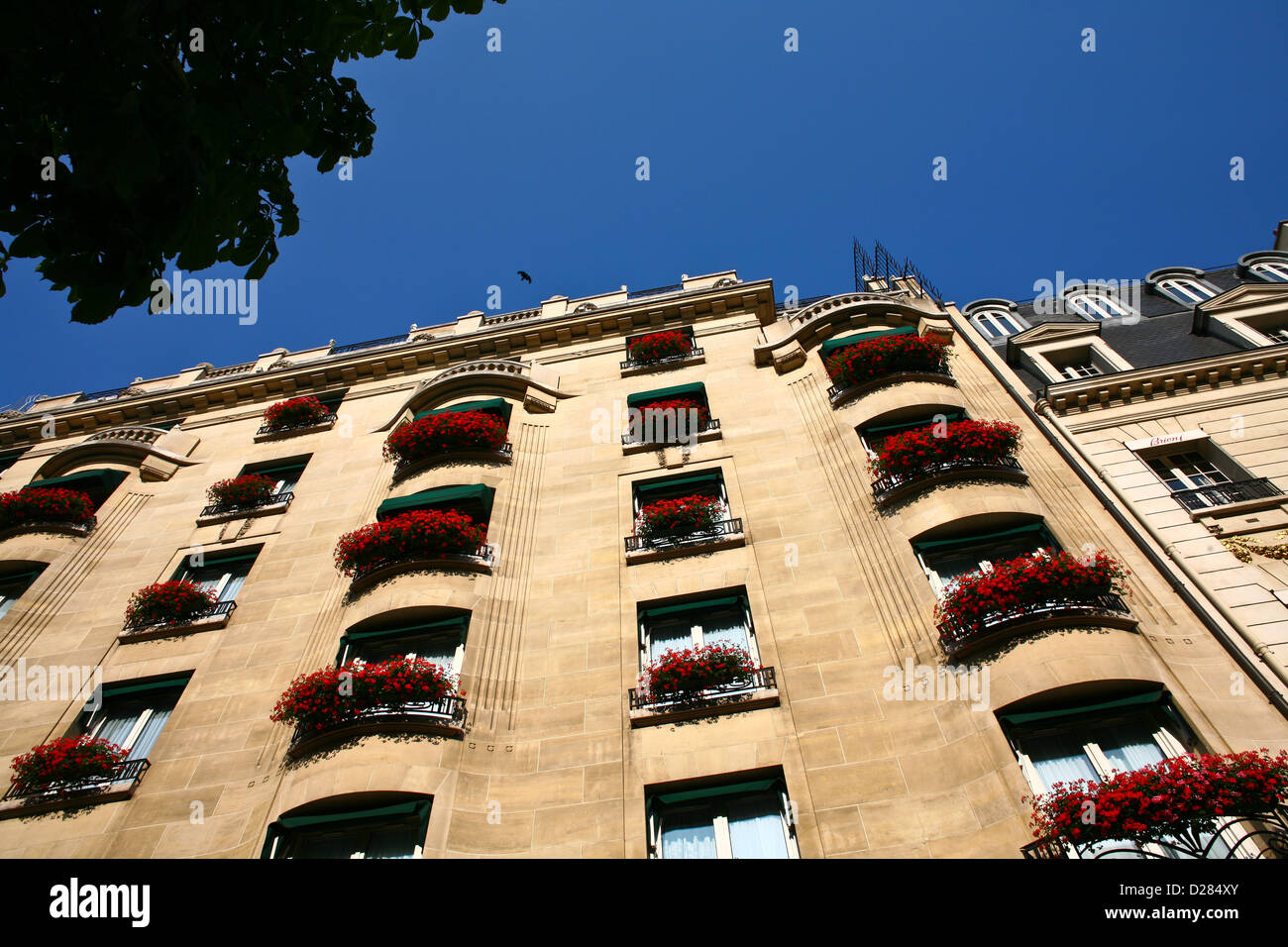Avenue elysees france french paris shopping shops hi-res stock ...
