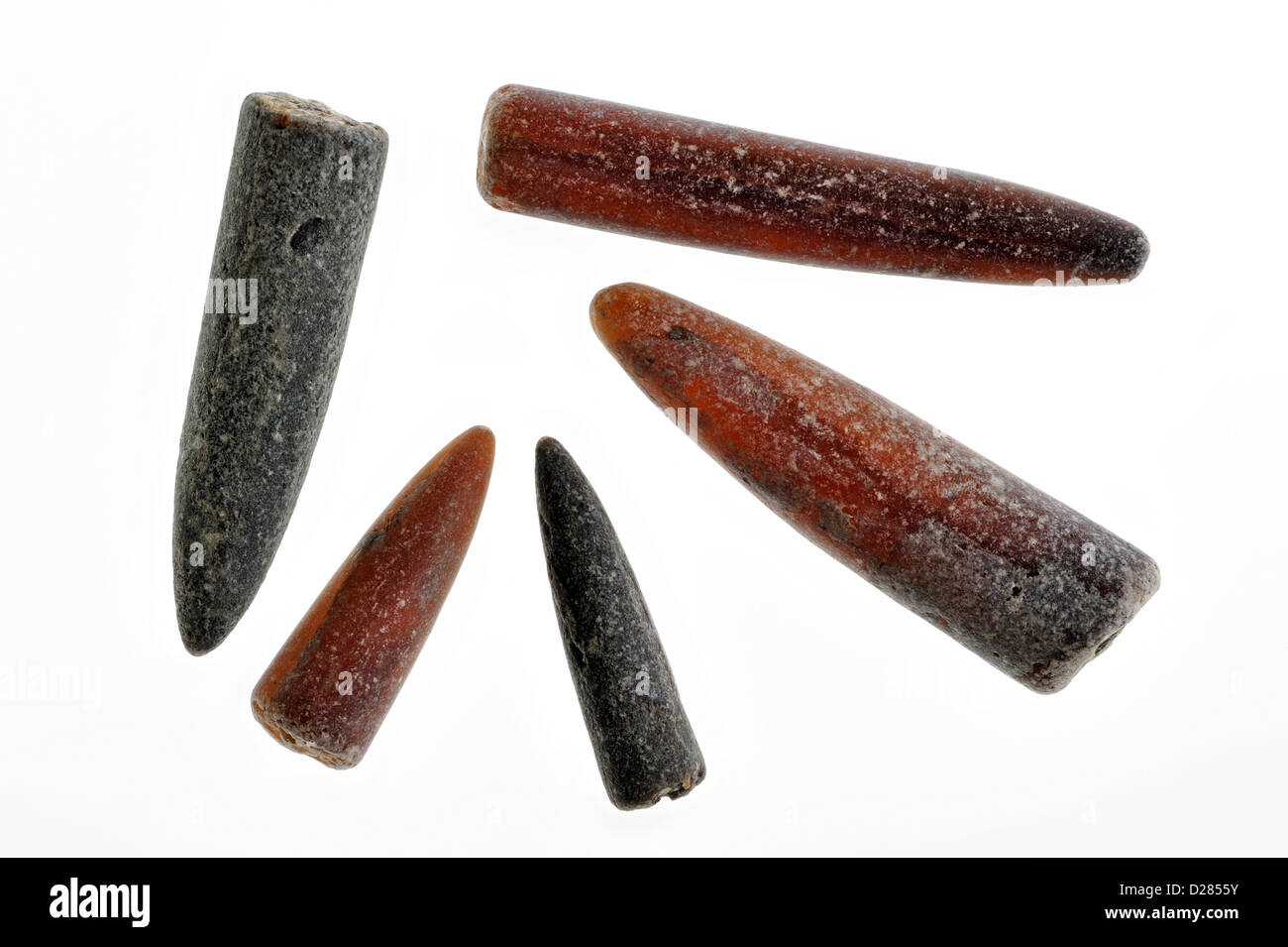 Fossil guards of belemnites / Belemnitida from Lyme Regis, Jurassic ...