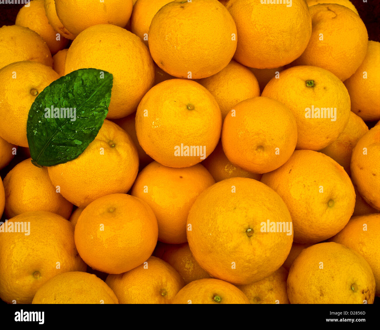 Navel Oranges in pile, Arizona. USA Stock Photo - Alamy