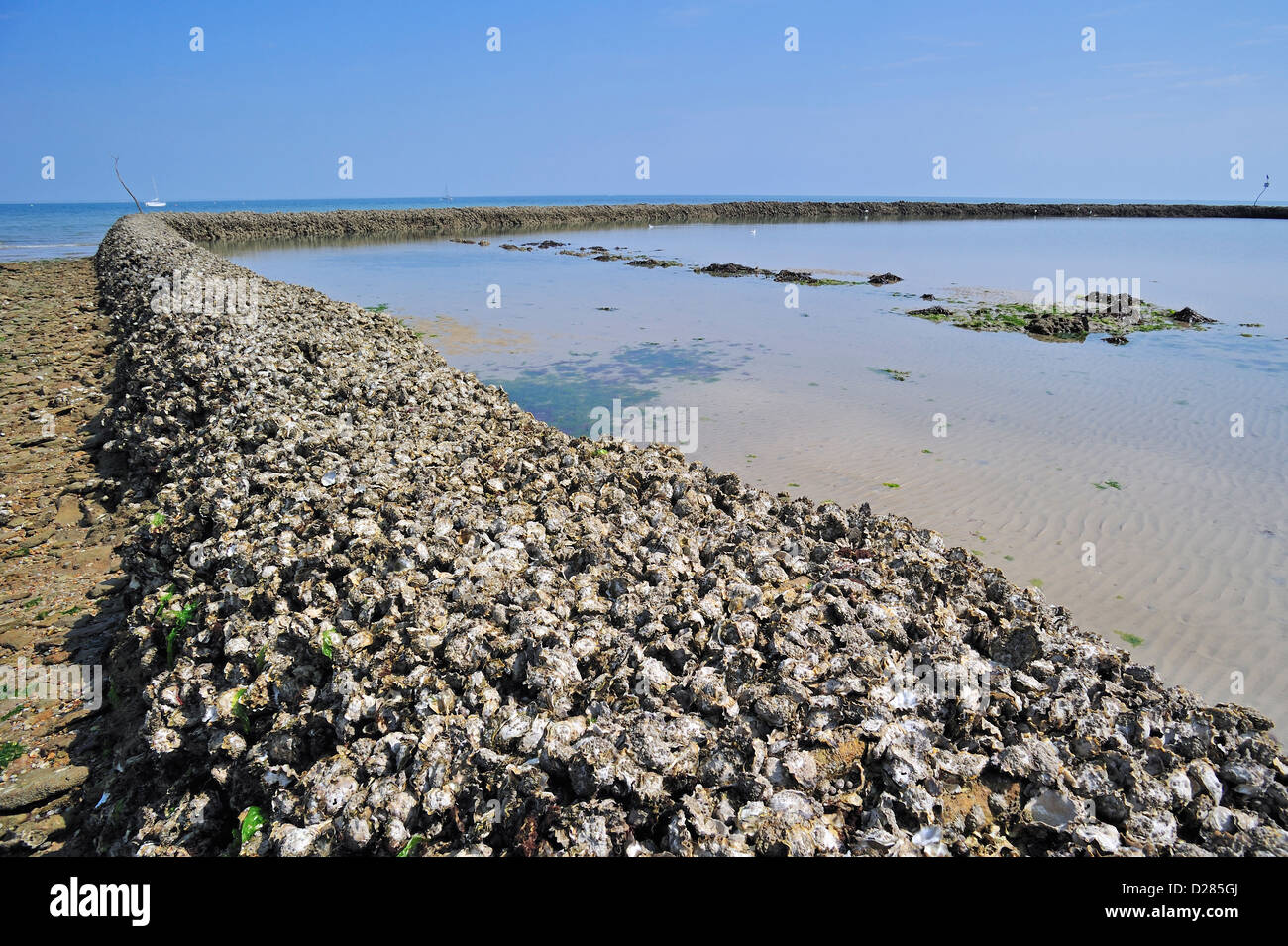 Traditional fish trap hi-res stock photography and images - Alamy