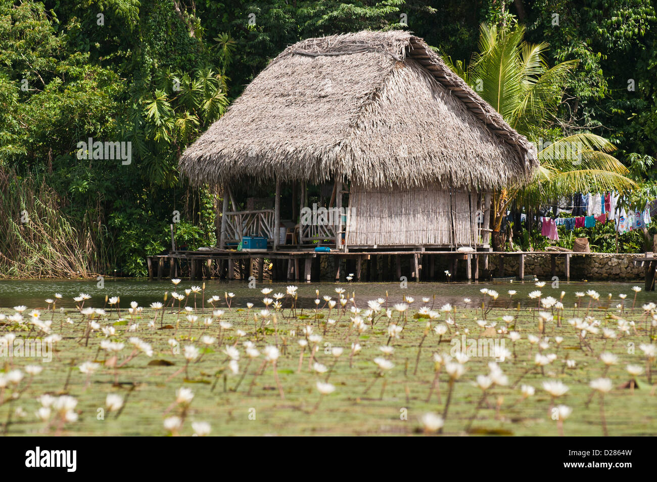 Guatemala, Lake Izabal. Indigenous people dwelling on Lake Izabal (Lago ...