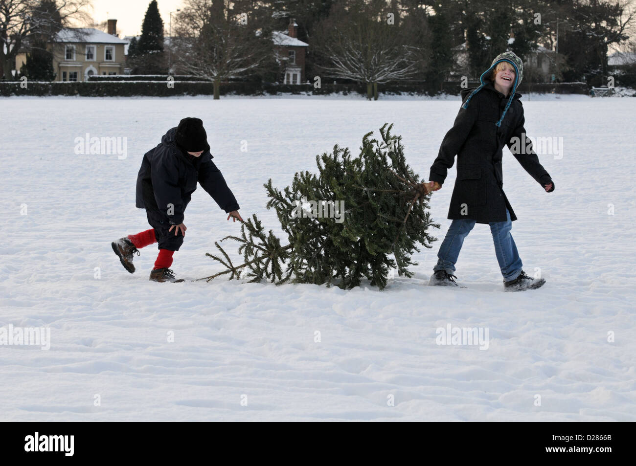 Kids carrying christmas tree hi-res stock photography and images - Alamy