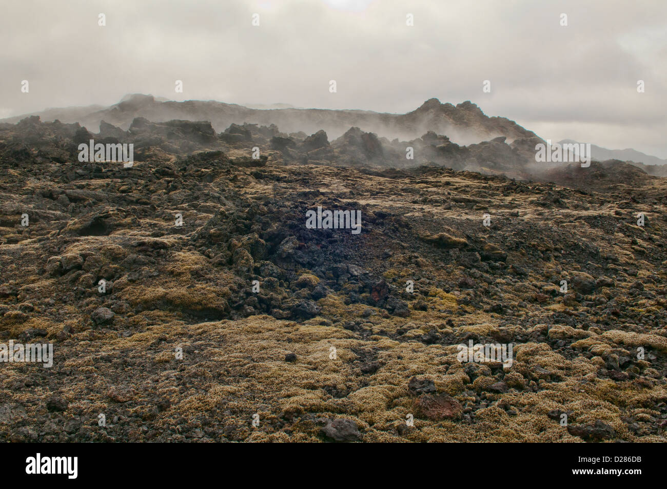 The eerie volcanic landscape of the Krafla caldera near Lake Myvatn ...