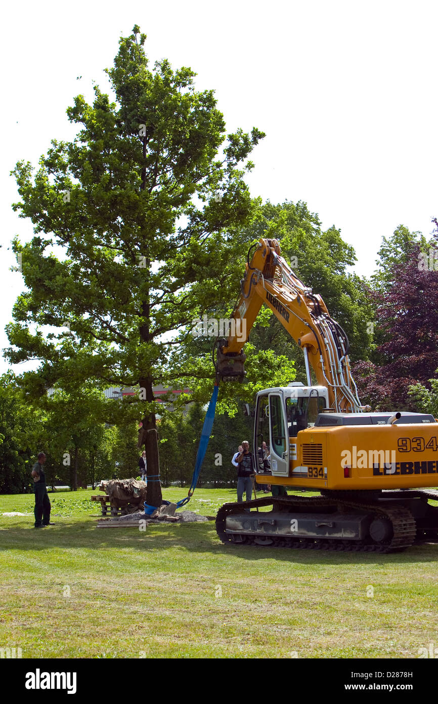 Büdelsdorf, Germany, plant a tree in the sculpture park Stock Photo - Alamy