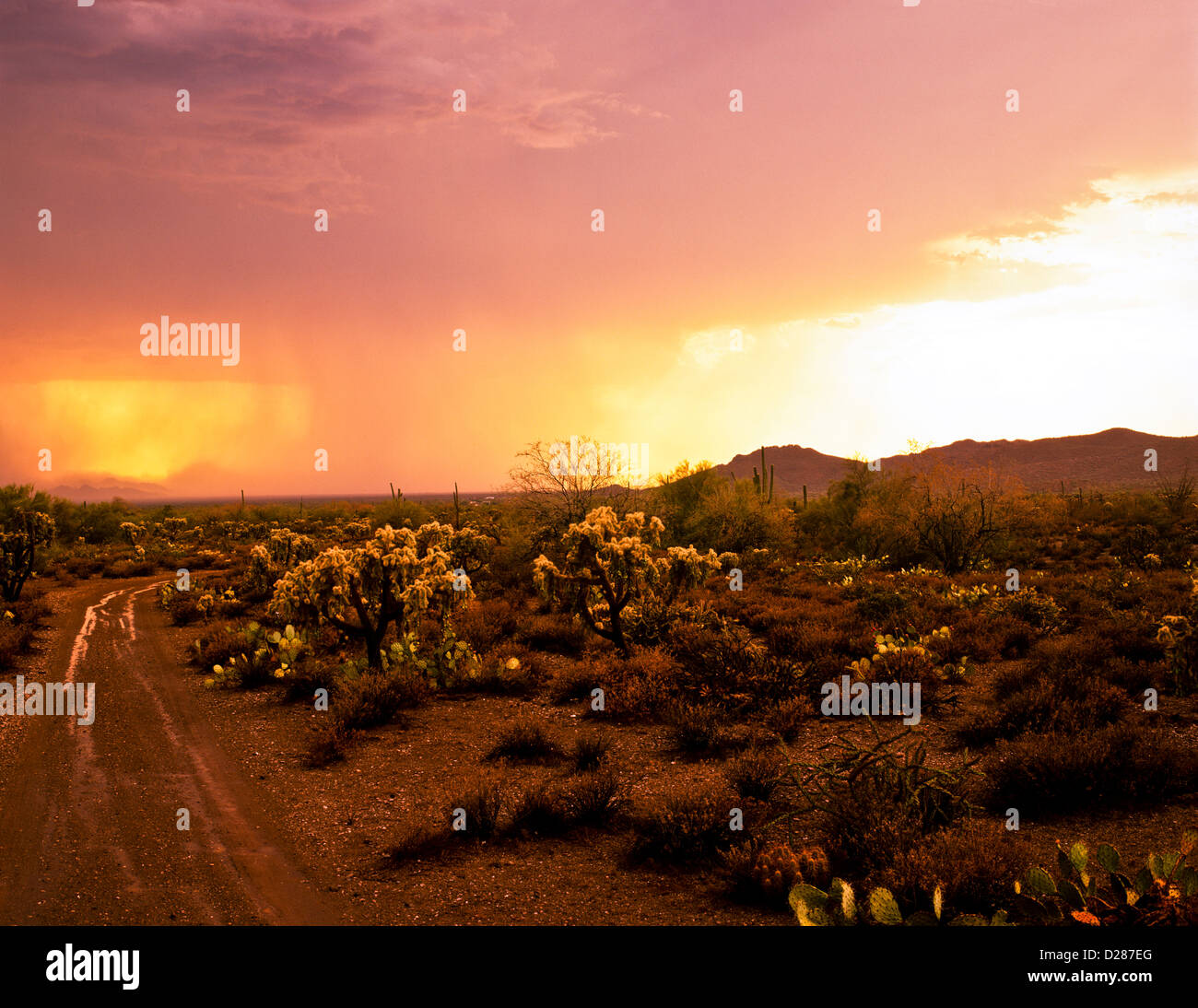 Stormy sunsets hi-res stock photography and images - Alamy
