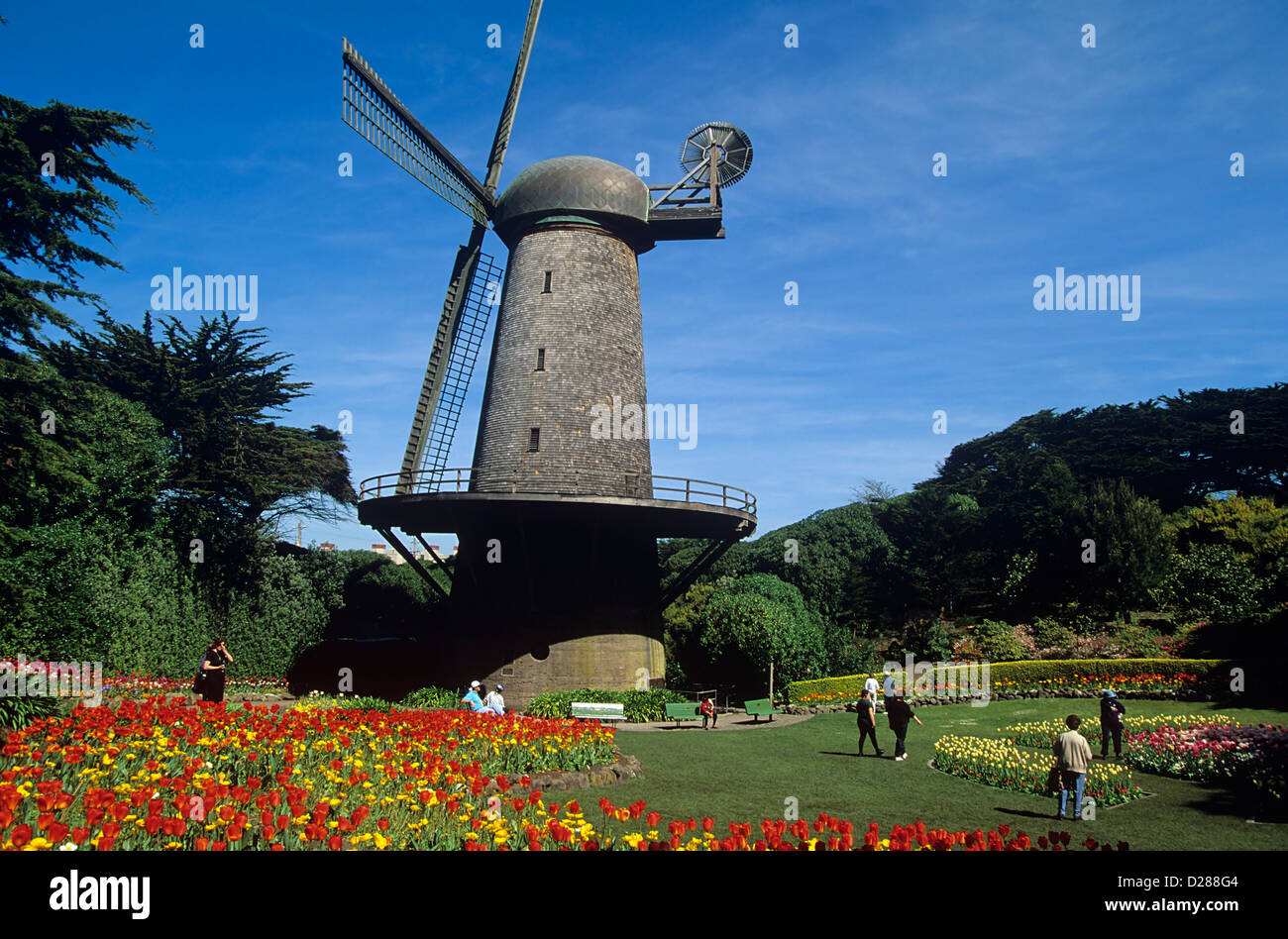 Golden gate park windmill hi-res stock photography and images - Alamy
