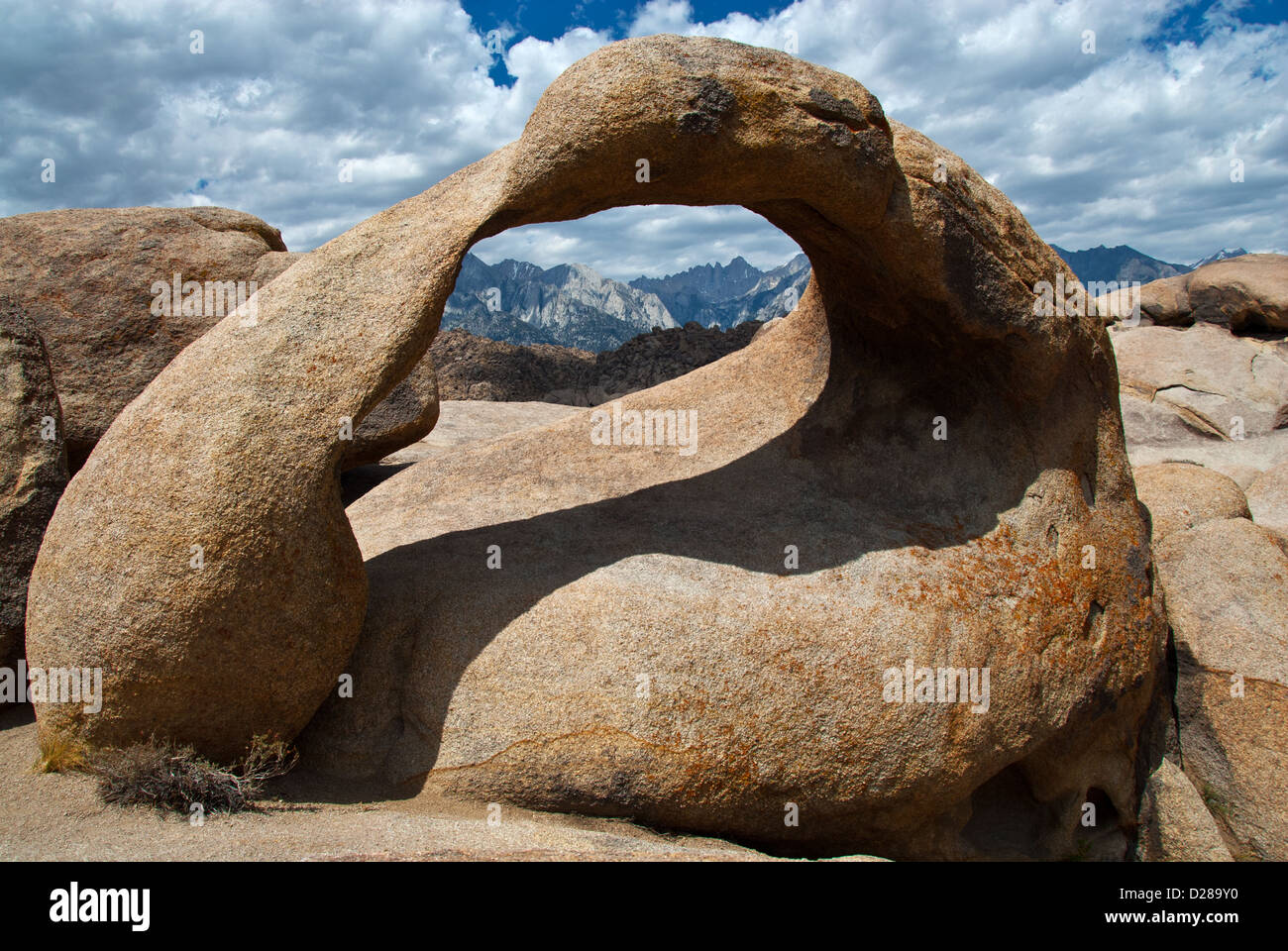 Whittney hi-res stock photography and images - Alamy