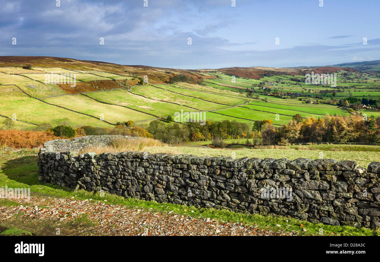 Traditional stone wall in the North York Moors National Park near ...