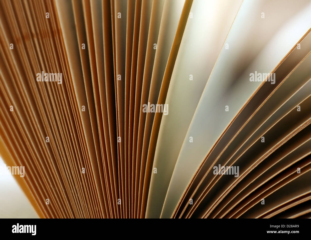 The image of the open book close-up Stock Photo - Alamy