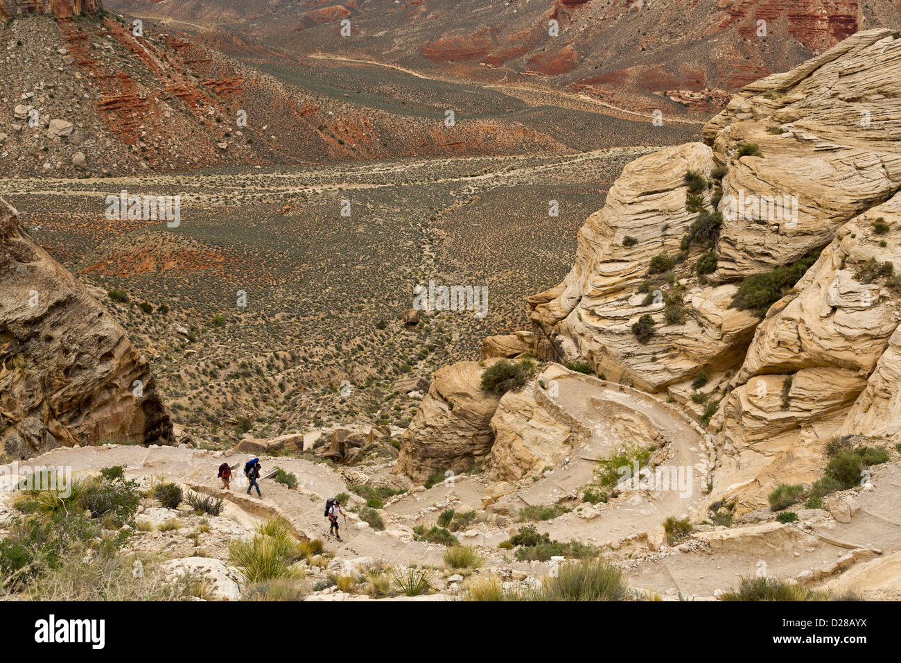 Hikers come up the trail from Havasu Falls in Supai, Arizona, USA Stock ...