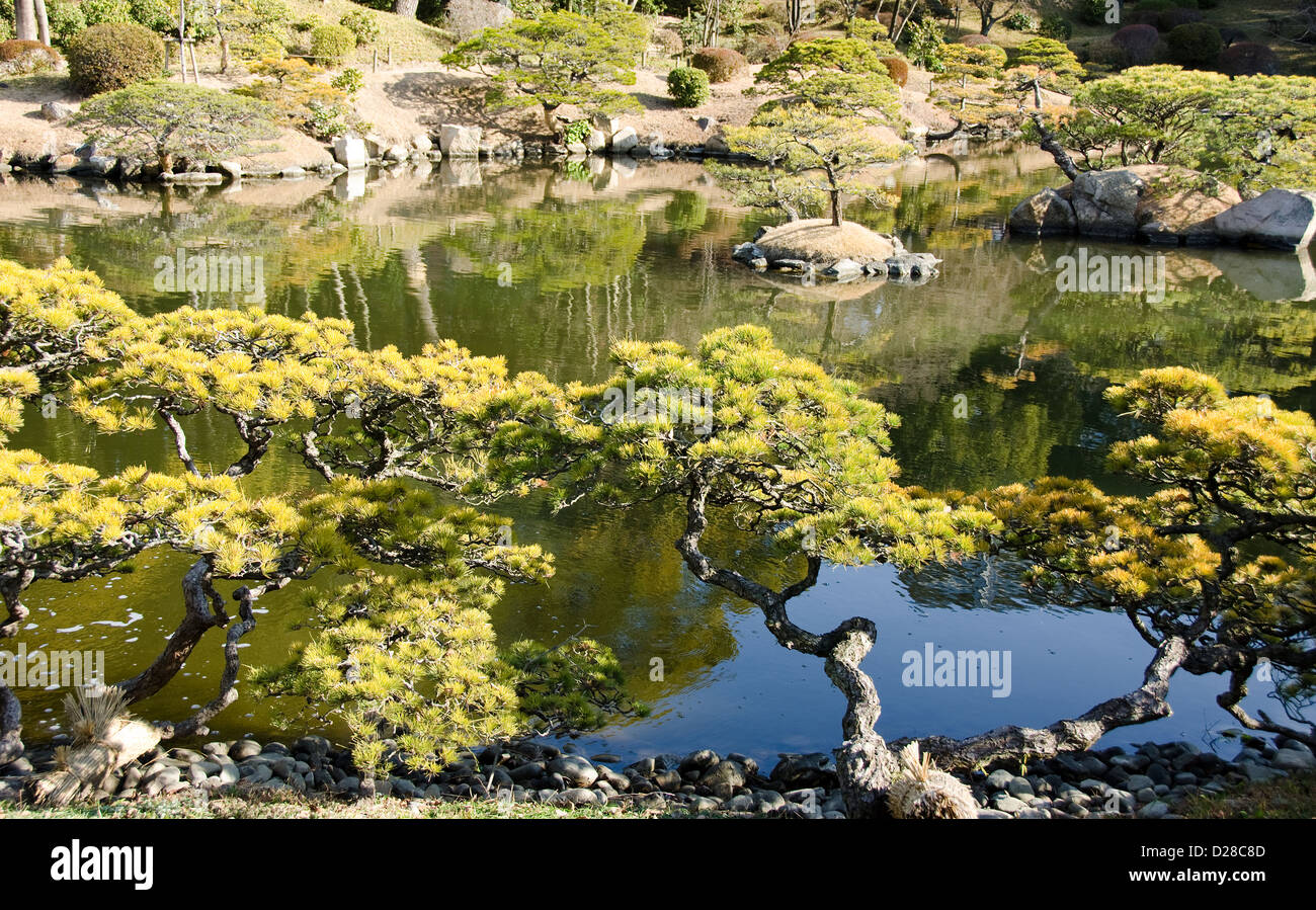 Japanese garden water trees hi-res stock photography and images - Alamy