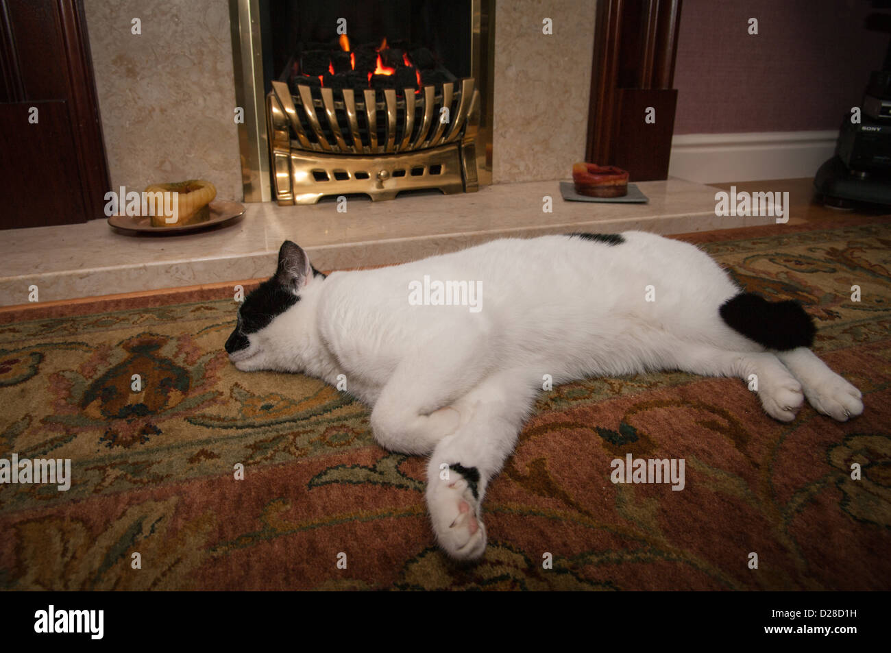 Fire cat sleeping hi-res stock photography and images - Alamy