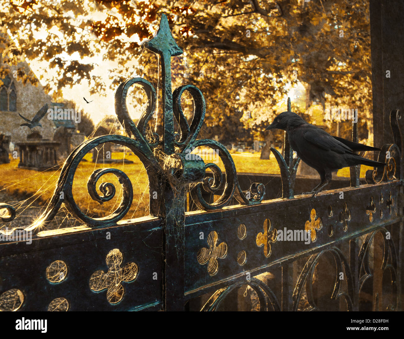 Gothic gate to cemetery hi-res stock photography and images - Alamy