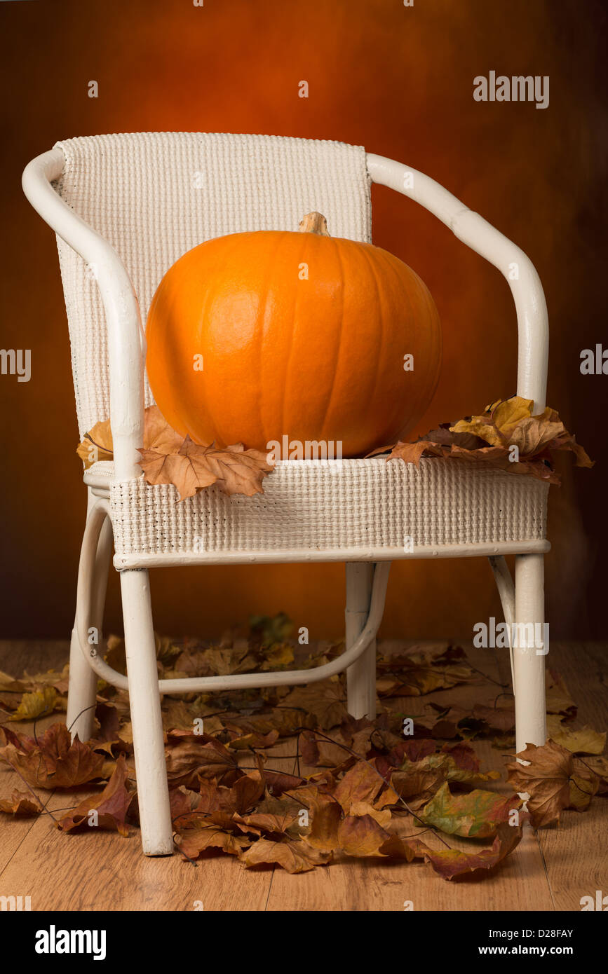 Pumpkin on white chair with autumn leaves Stock Photo - Alamy