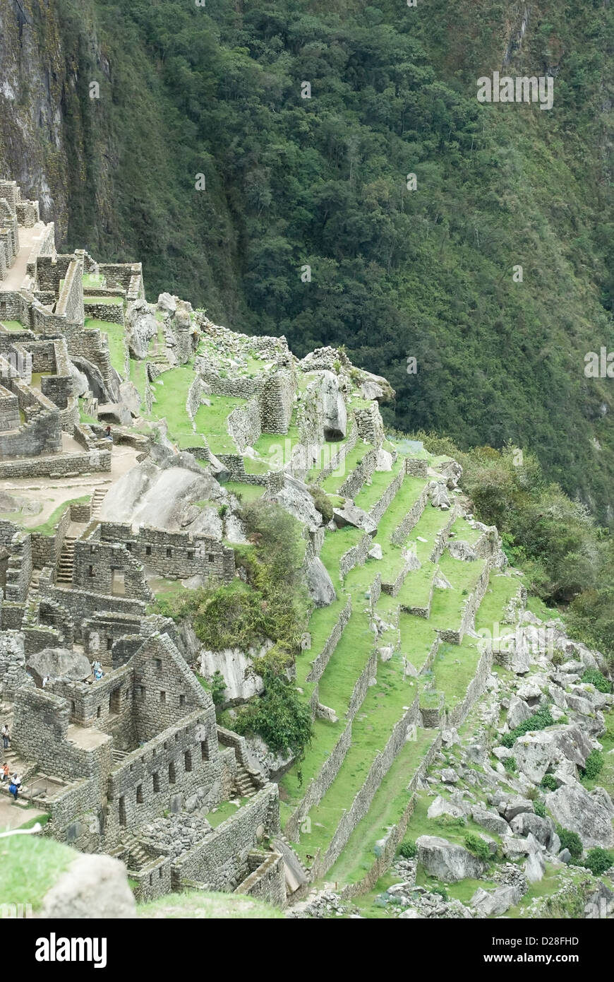 Back side view of Machu Picchu, Peru Stock Photo - Alamy