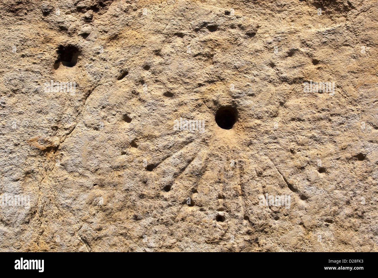 Background texture of medieval masonry with mason's marks in limestone ...