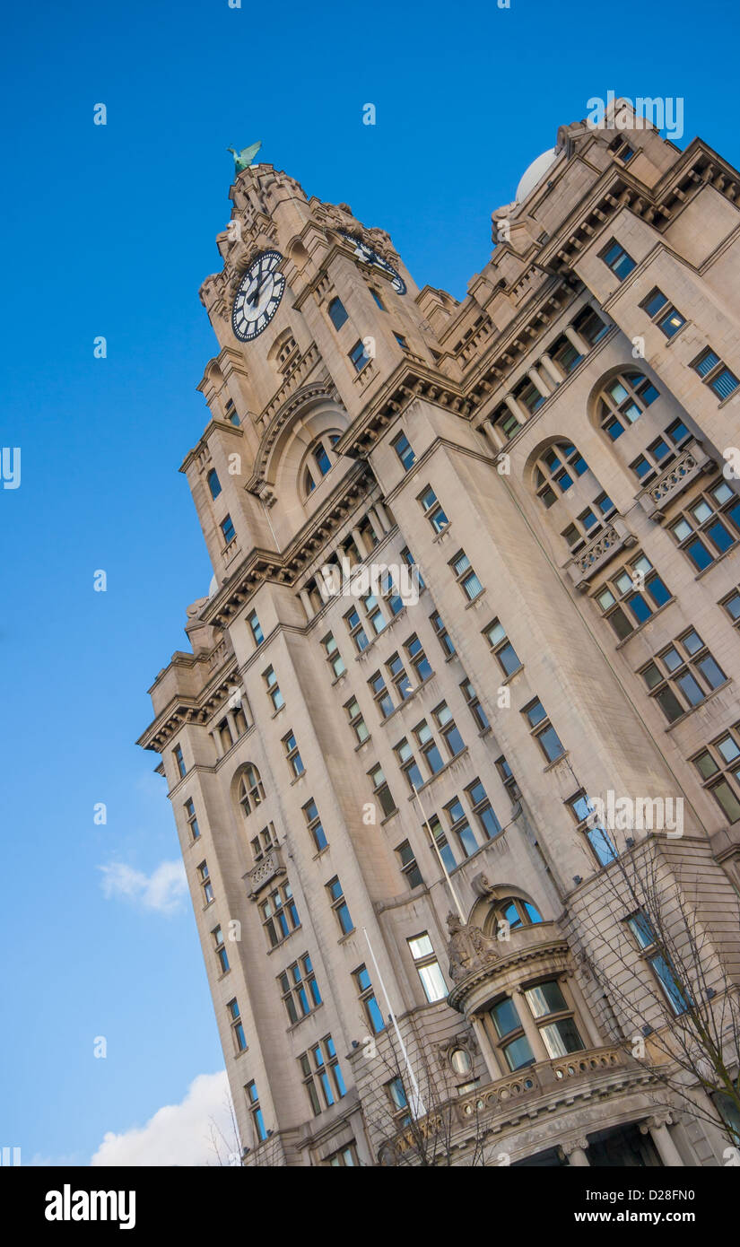 The Royal Liver Building in Liverpool, England Stock Photo - Alamy
