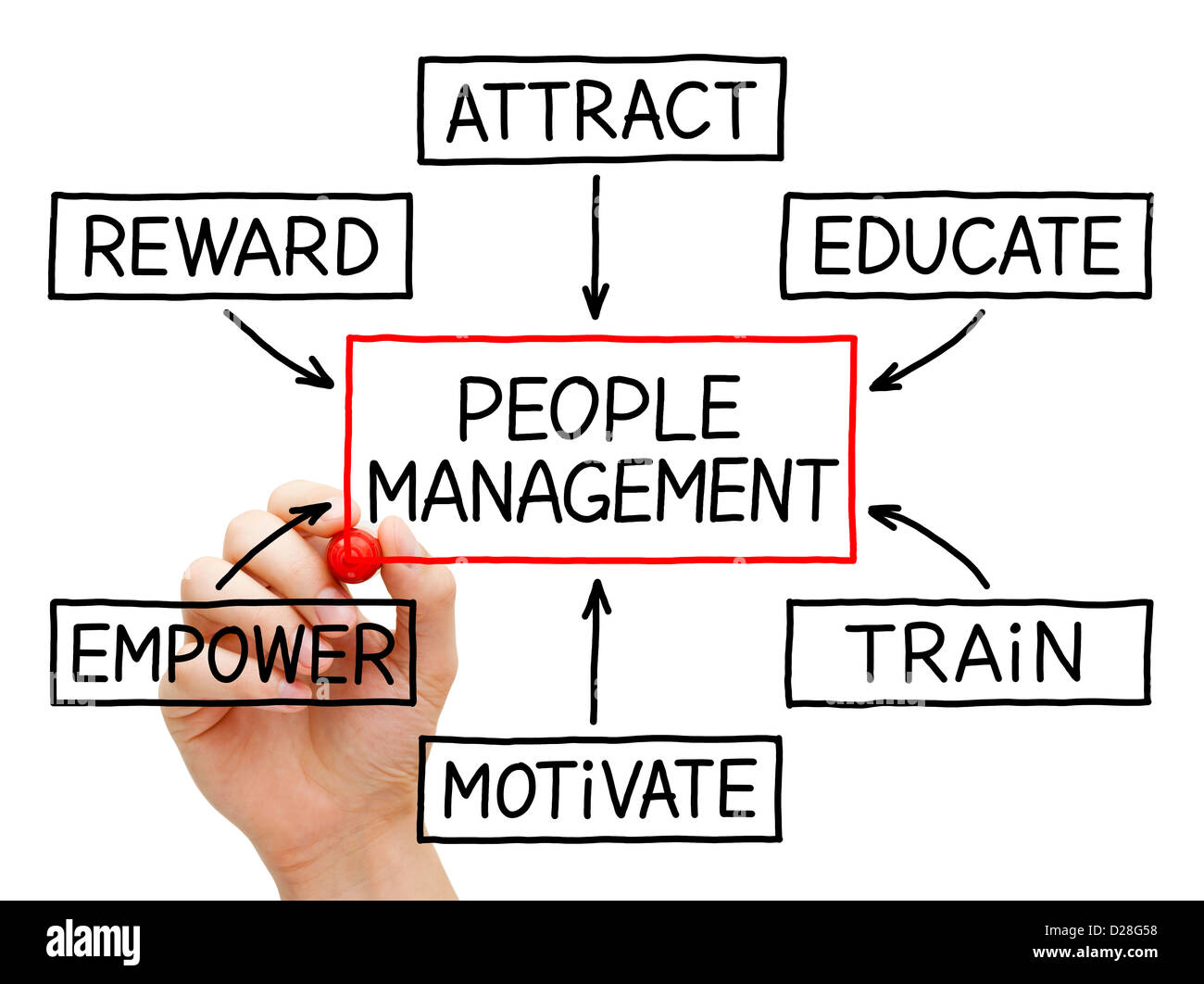 Male hand drawing People Management flow chart on transparent wipe ...