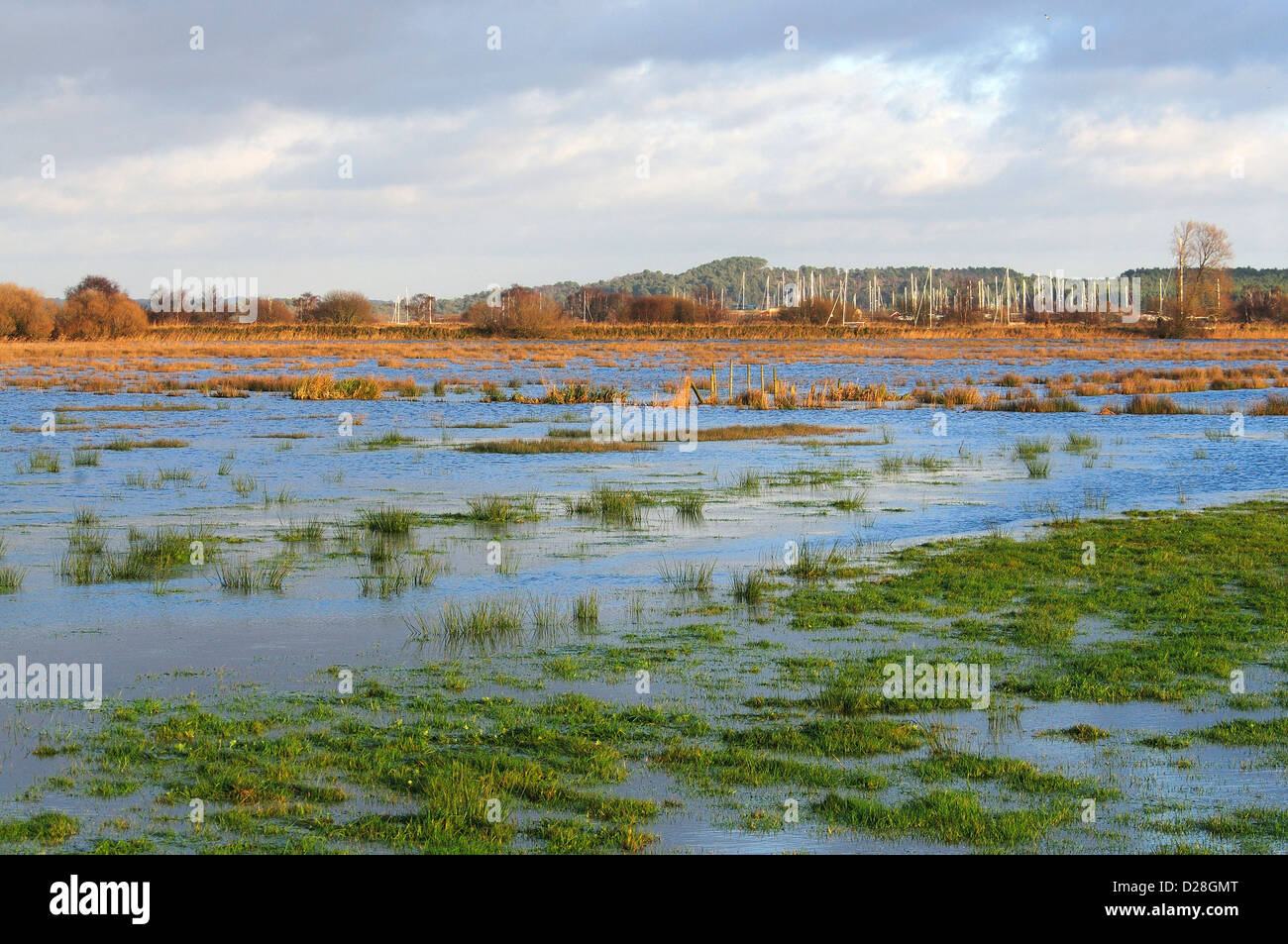 Flood flooding wareham hi-res stock photography and images - Alamy