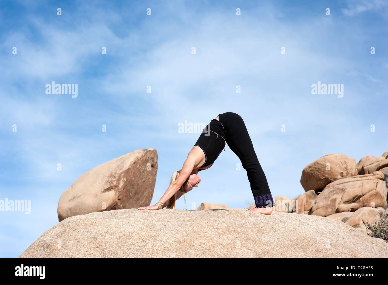 Woman in the yoga pose Adho Mukha Svanasana or Downward Facing Dog ...