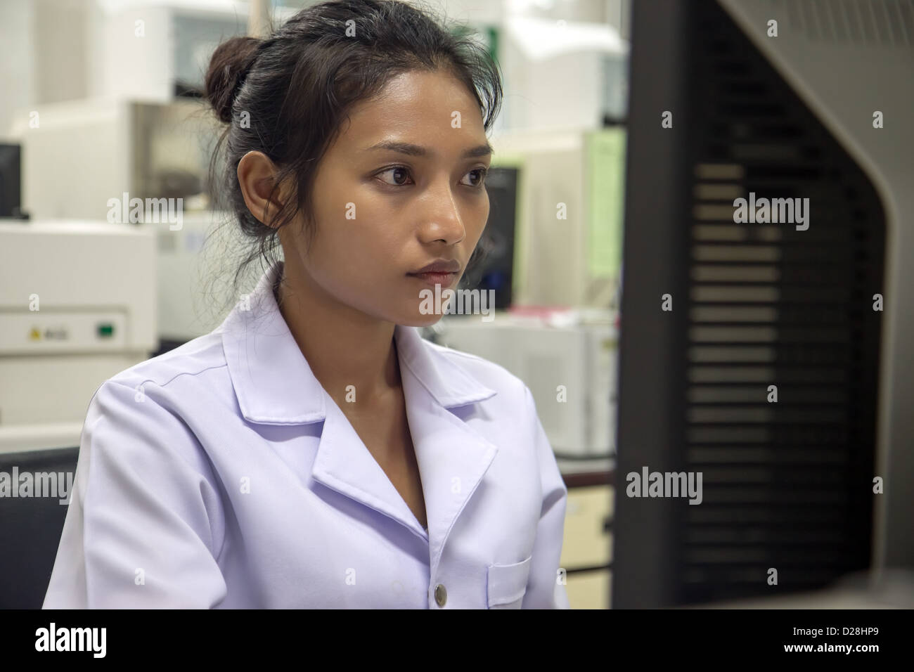woman working at a computer Stock Photo - Alamy