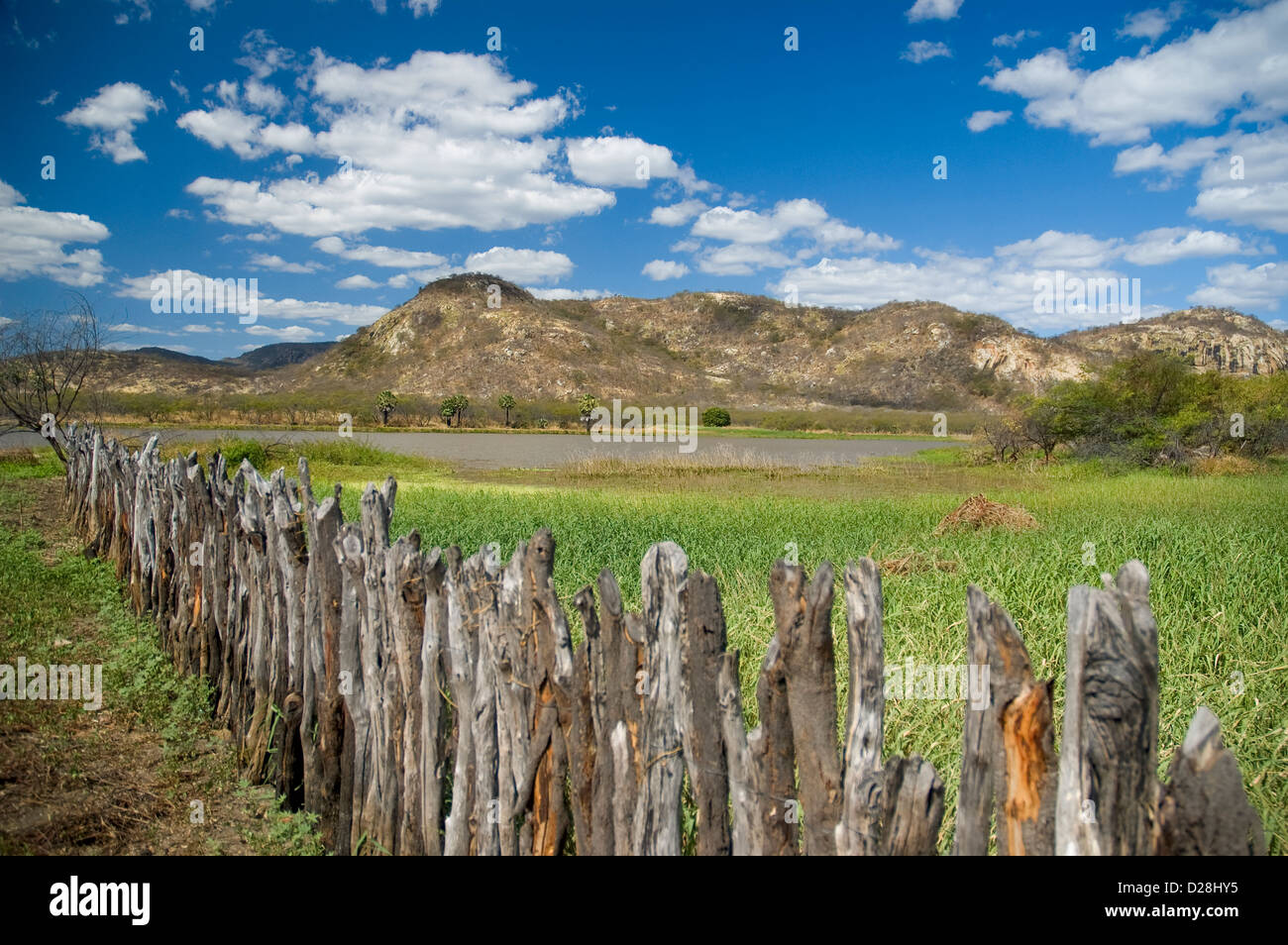 Caatinga brazil landscape hi-res stock photography and images - Alamy