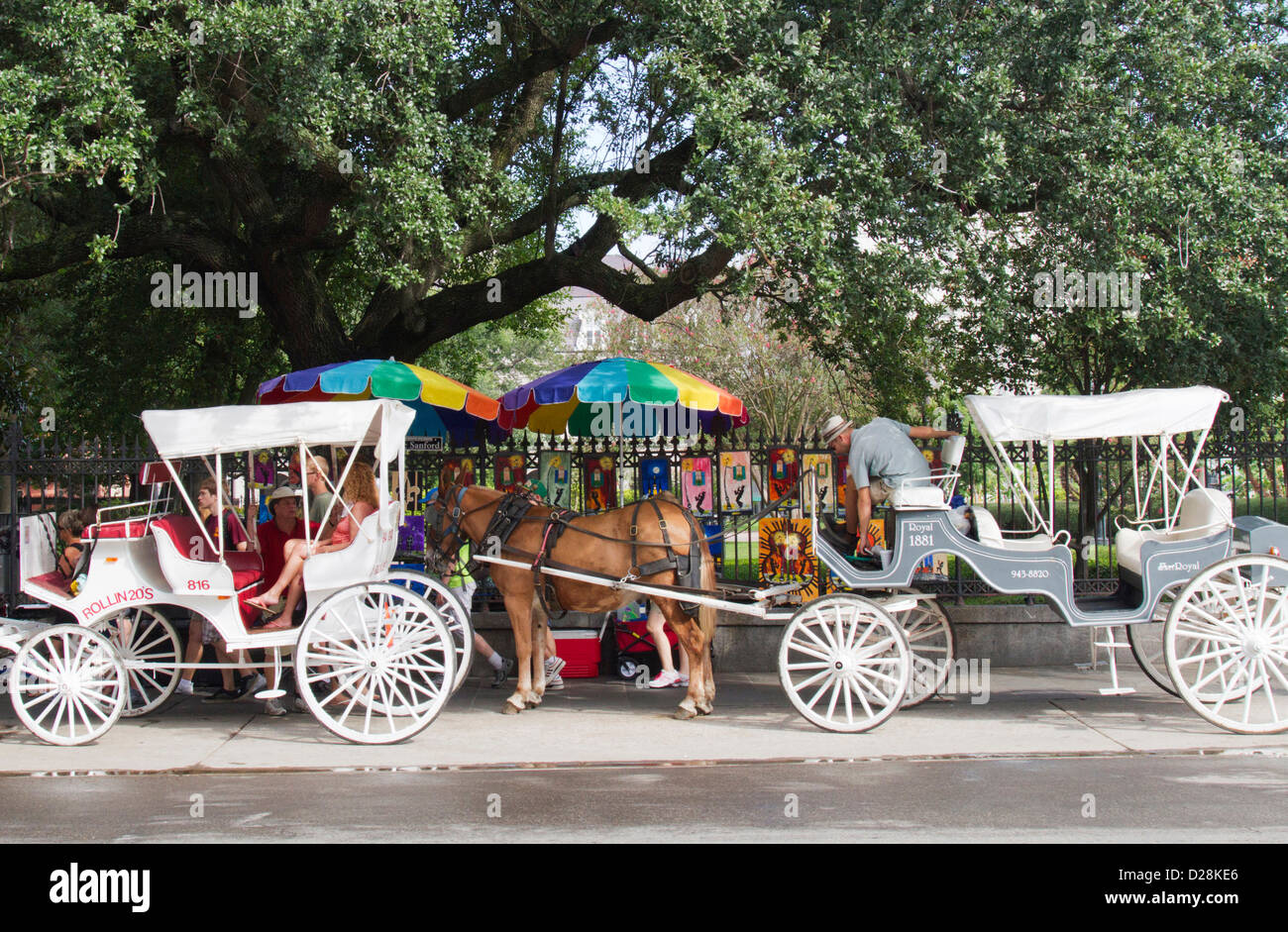 LA, New Orleans, French Quarter, Jackson Square, horse and carriage ...