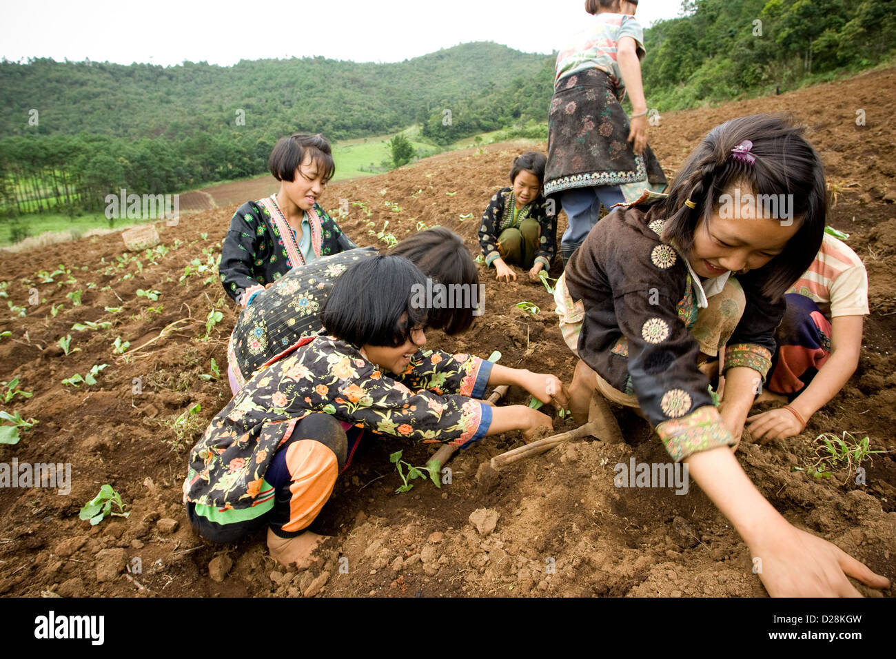 Young hmong teenager hi-res stock photography and images - Alamy