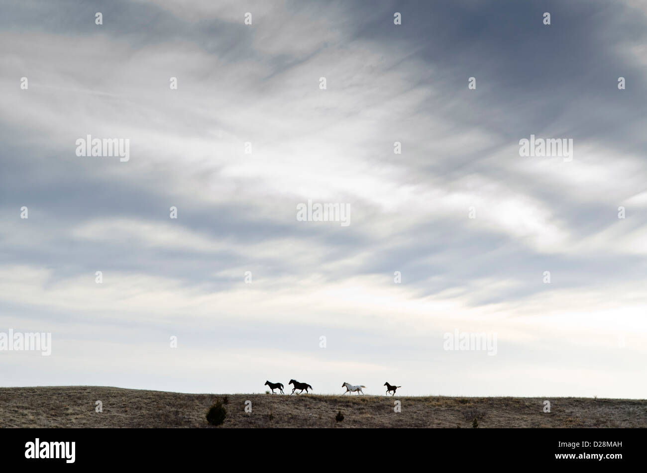 Empty wild west hi-res stock photography and images - Alamy