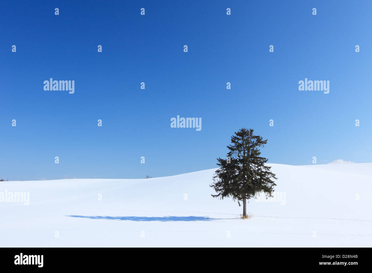 Furano hokkaido hi-res stock photography and images - Alamy