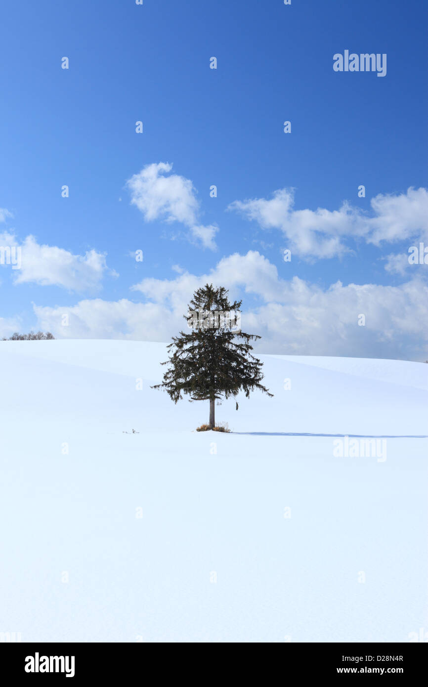 Furano hi-res stock photography and images - Alamy