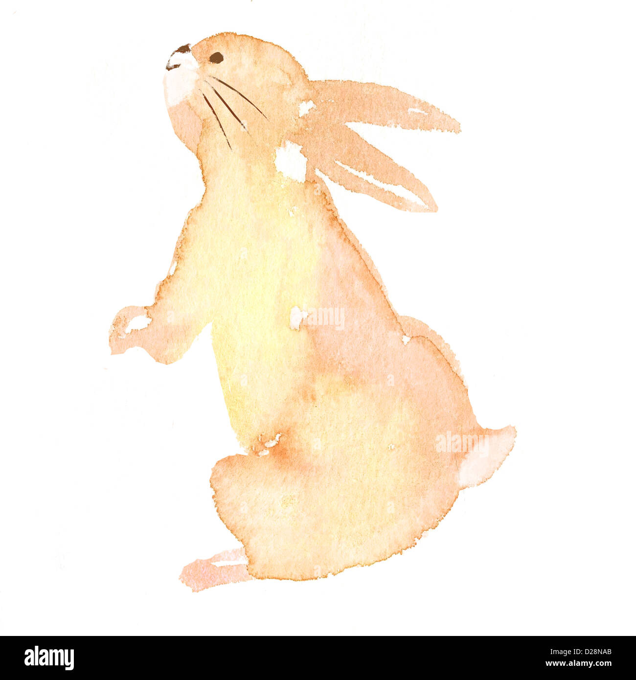Rabbit illustration hi-res stock photography and images - Alamy