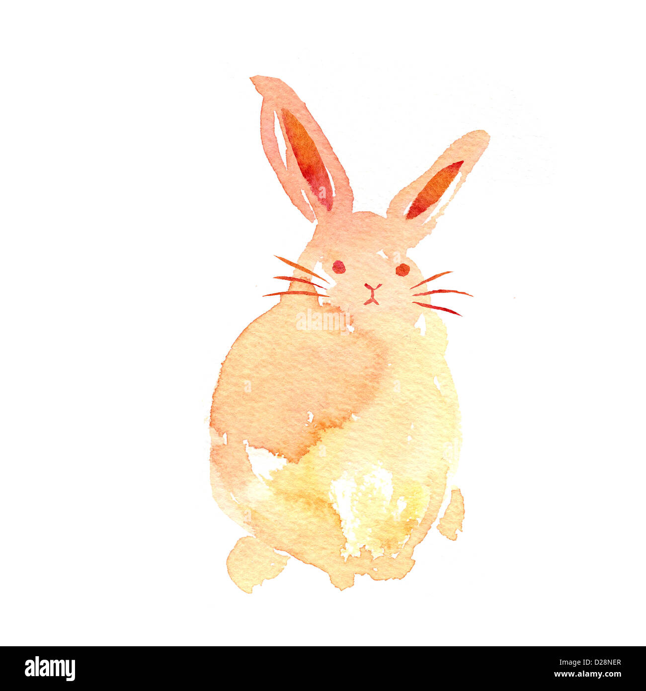 Rabbit Illustration