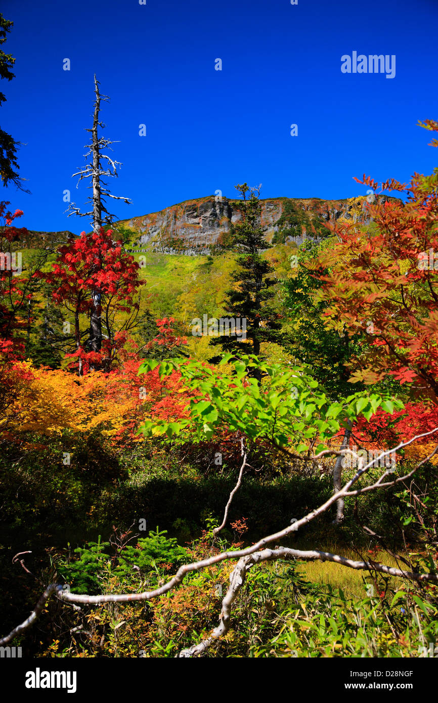 Autumn colors, Hokkaido Stock Photo - Alamy