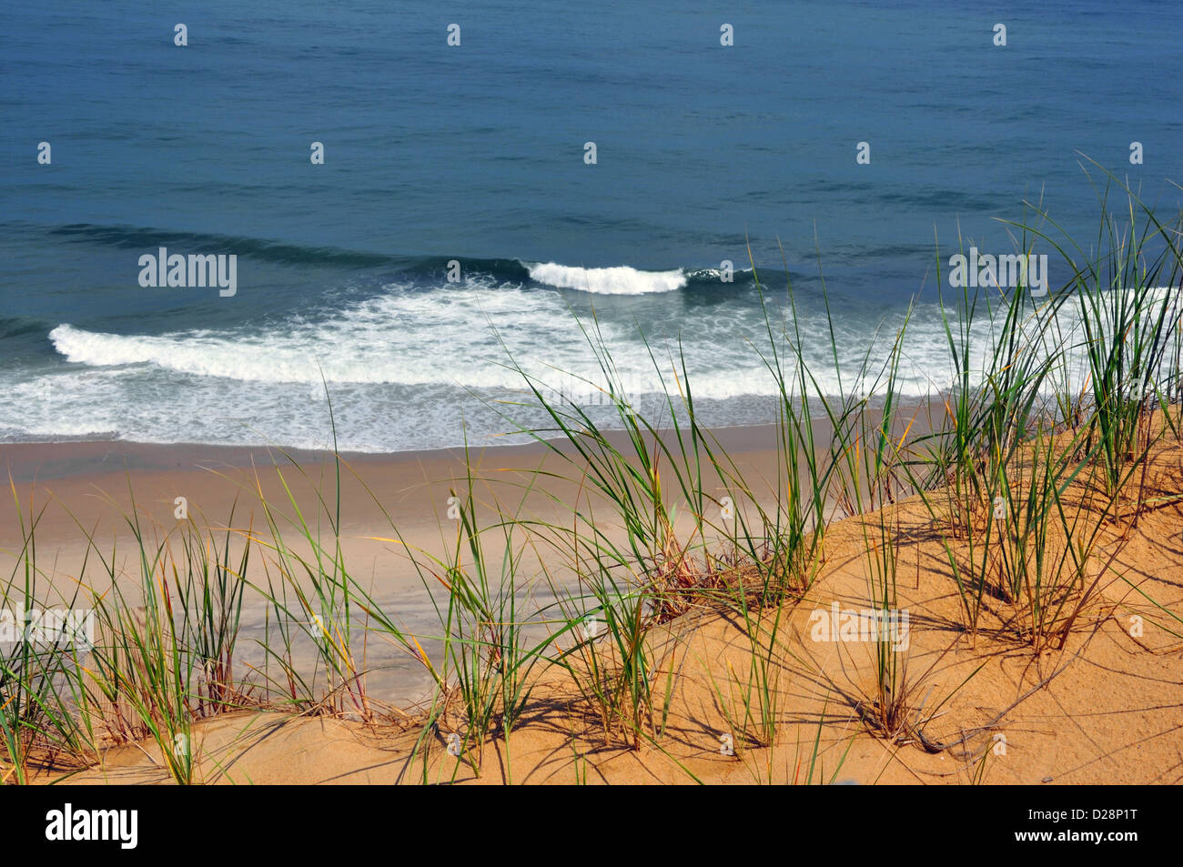 Marconi Beach, Cape Cod, Massachusetts, USA Stock Photo - Alamy