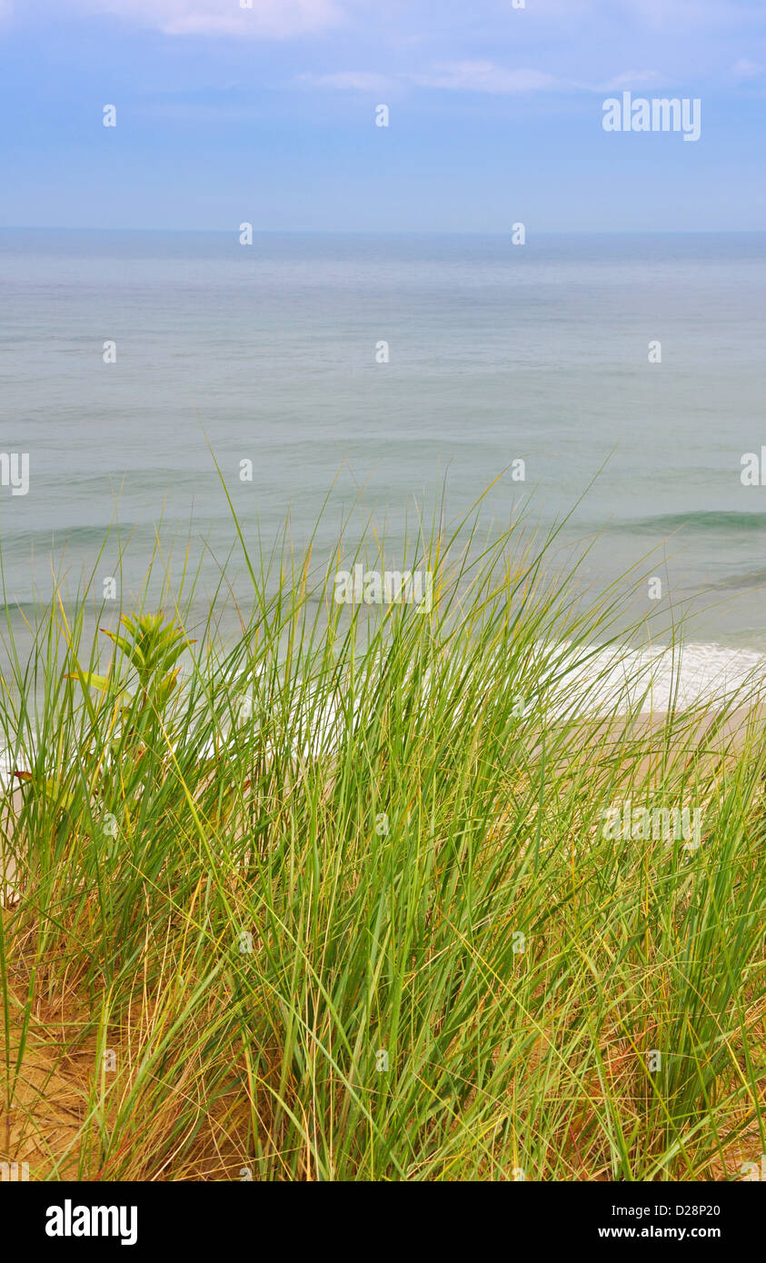 Marconi beach and wellfleet hi-res stock photography and images - Alamy