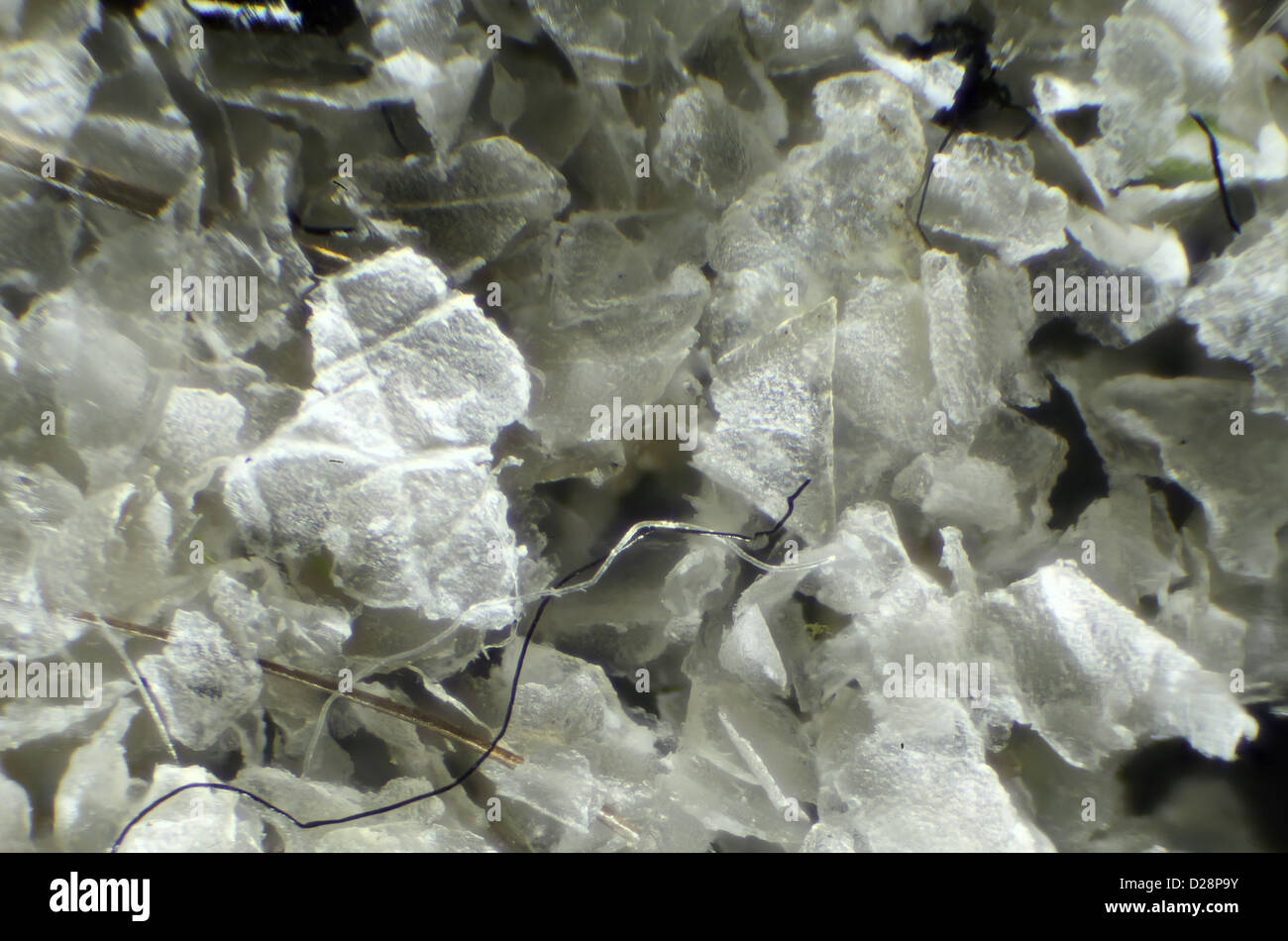 Skin under the microscope, background Stock Photo - Alamy
