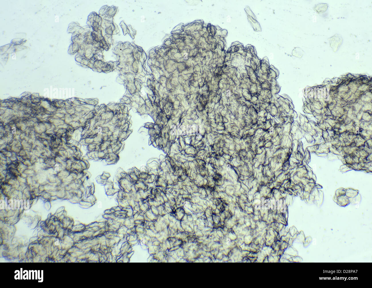 Skin under the microscope, background Stock Photo - Alamy