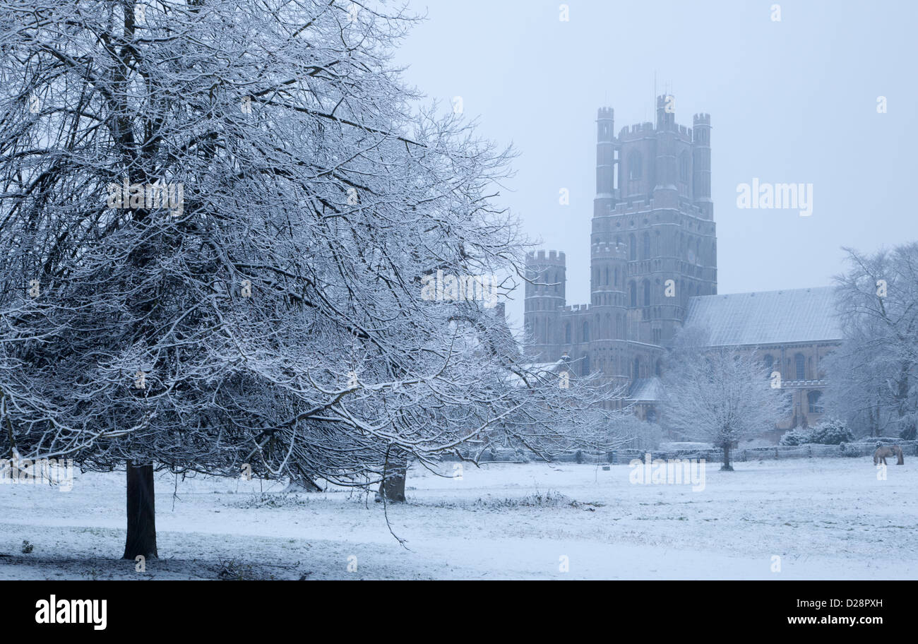 Ely Cathedral Cambridge in the snow Stock Photo - Alamy